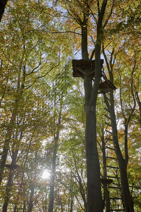 Large Obstacle Course in the Trees in a Forest Stock Image - Image of ...