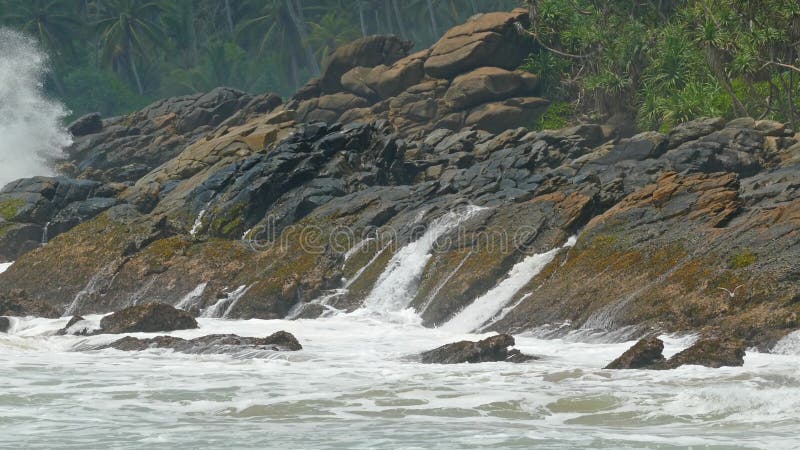 Large Ocean Waves O? Tropical Coast 4k Stock Footage - Video of palm ...