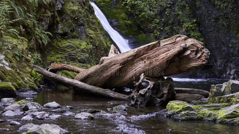 Covererd Rocks Stock Photos - Free & Royalty-Free Stock Photos from ...