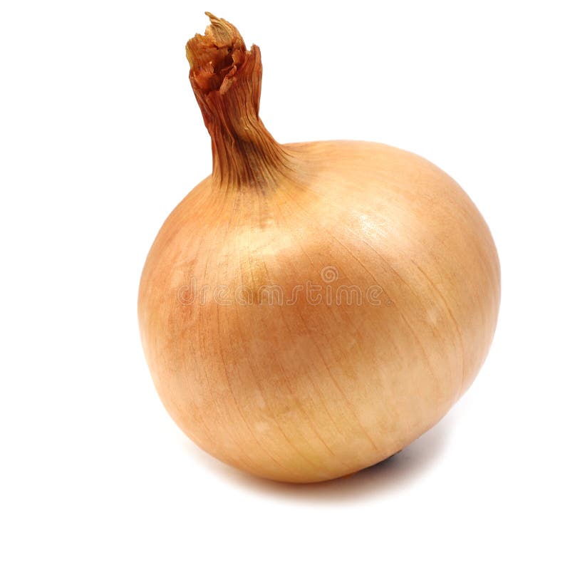 One Large Big Red Onion Looking at You Stock Image - Image of layers ...