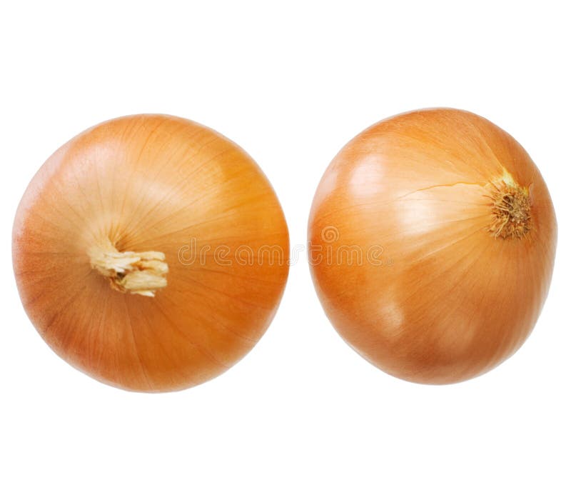 One Large Big Red Onion Looking at You Stock Image - Image of layers ...