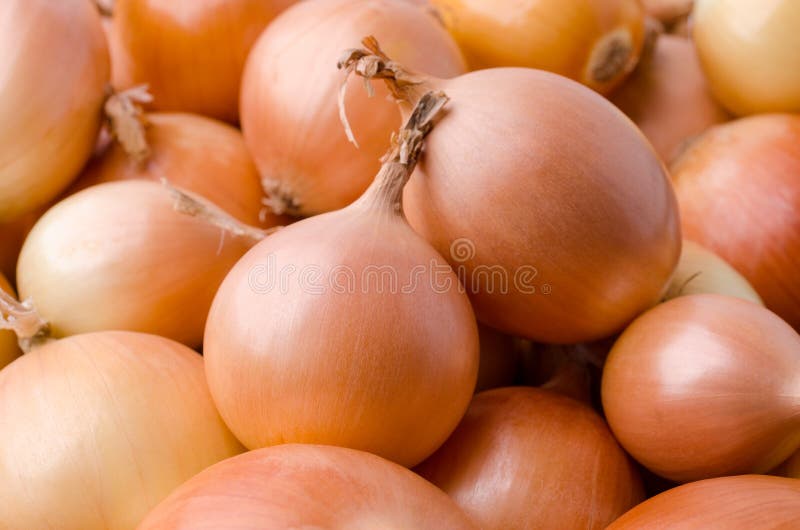 Large onion background stock image. Image of food, organic - 231457249
