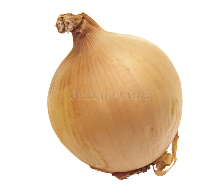 Large Onion Isolated on White Stock Photo - Image of isolated ...