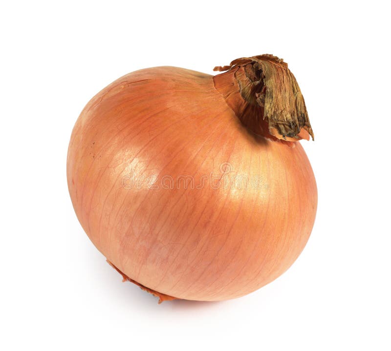 Large onions close up stock image. Image of closeup, healthy - 77938707