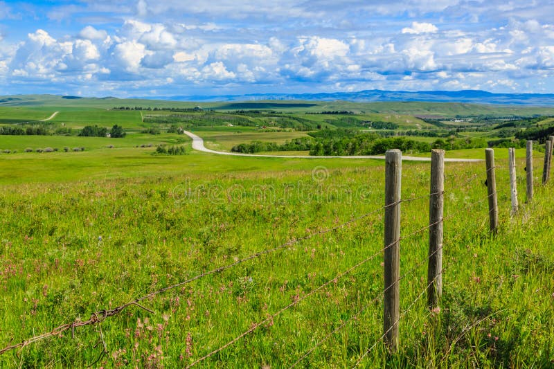 A Large, Open Field with a Fence in the Middle Stock Photo - Image of ...