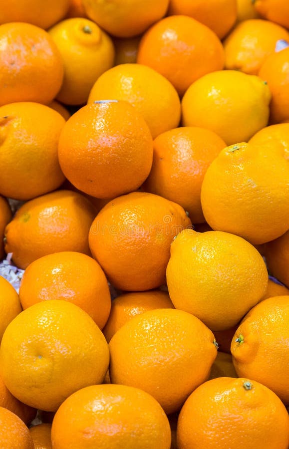 Large Oranges in Market stock photo. Image of orange - 49616354