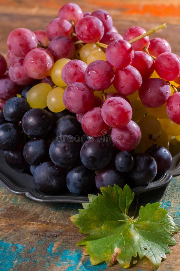 Large Organic Table Grape Globe in Assortment Served on the Tin Stock ...