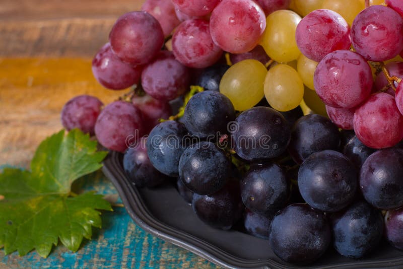 Large Organic Table Grape Globe in Assortment Served on the Tin Stock ...