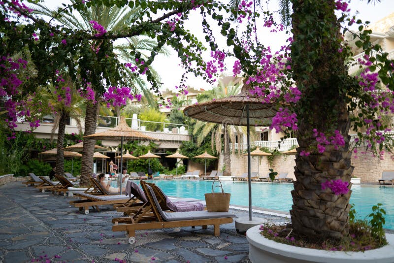 A Large Outdoor Pool on the Hotel Grounds with Blue Water and Palm ...