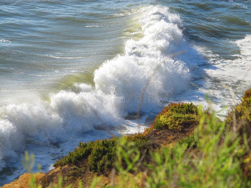 Large Pacific Ocean Waves Rumbling into Shore Stock Photo - Image of ...