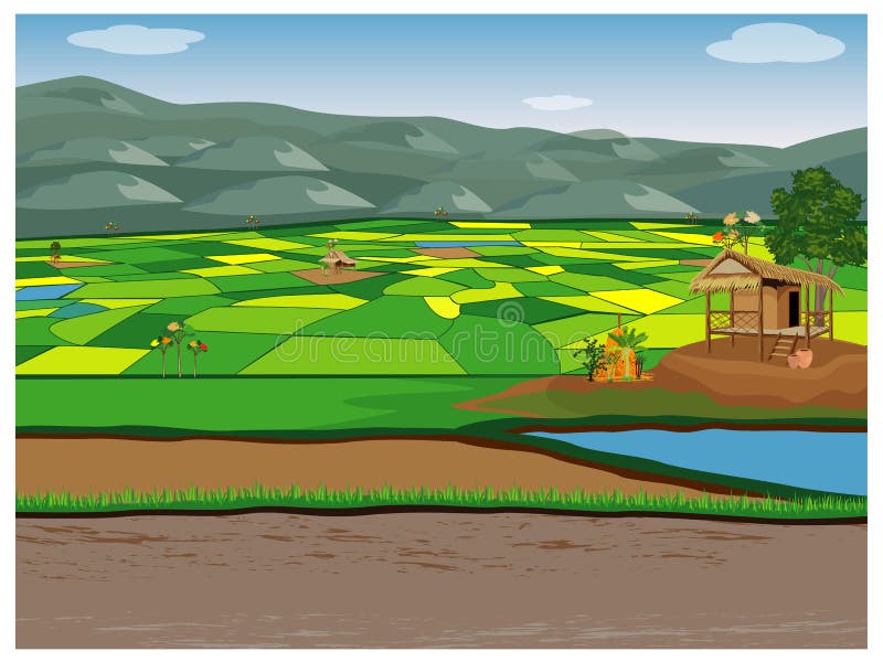 Paddy Field Vector Stock Illustrations – 1,940 Paddy Field Vector Stock ...