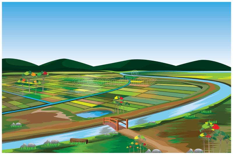 Paddy Field Stock Illustrations – 10,907 Paddy Field Stock ...