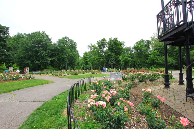 Large Park with Colorful Blooming Flowers and Trees Stock Image - Image ...