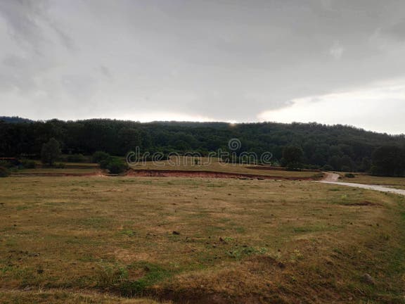 Large path with trees stock image. Image of nature, trees - 175961137