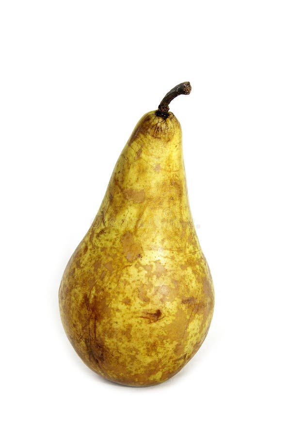 Large pear stock photo. Image of vitamin, dessert, eating - 23552474