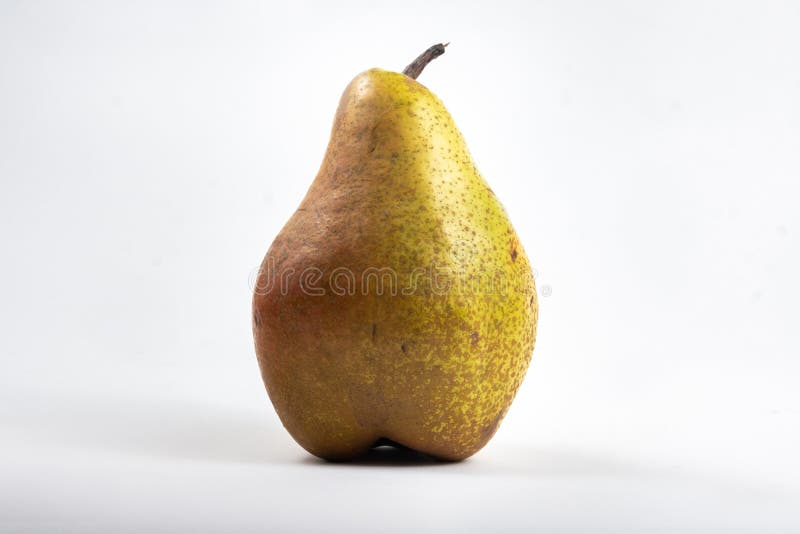 Large Pear Tree on White Isolated Background Stock Image - Image of ...