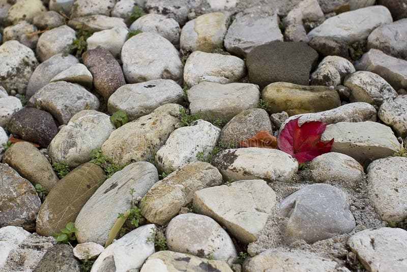 Large Pebble with Grass and Red Foliage. Stock Photo - Image of growth ...