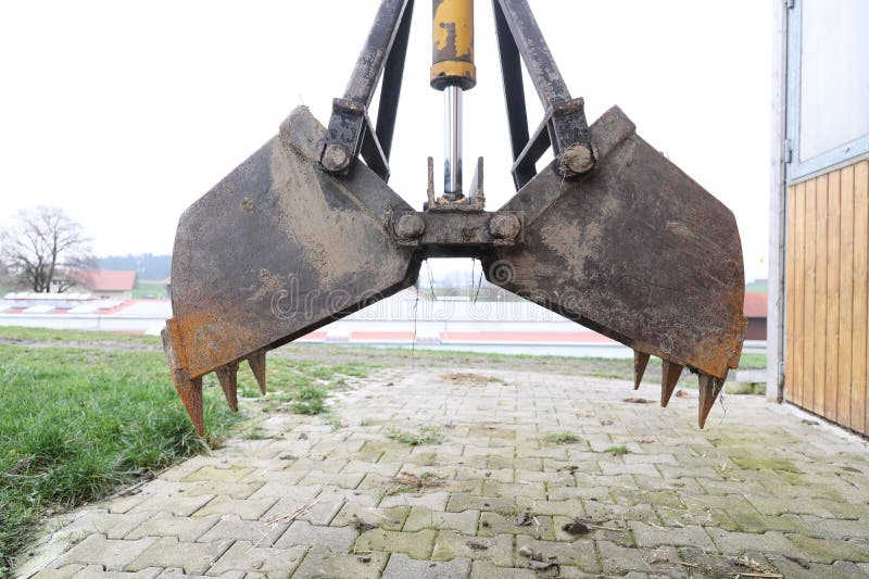 A Large Piece of Tree Trunk. Neutral Brown Hardwood Background Stock ...