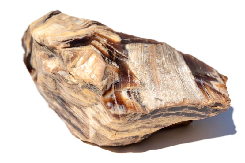 A Large Piece of Petrified Wood. the Stone of Layered Structure is ...