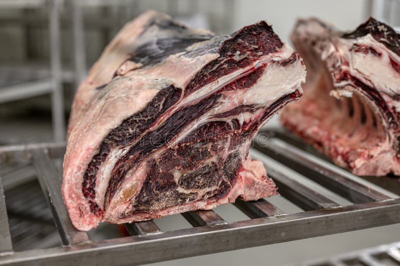 Large Pieces of Beef Ribs. the Process of Fermentation of Meat in the ...