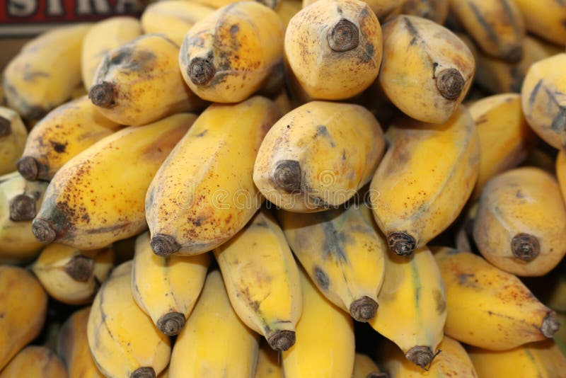 A large pile of bananas stock image. Image of yellow - 239230455
