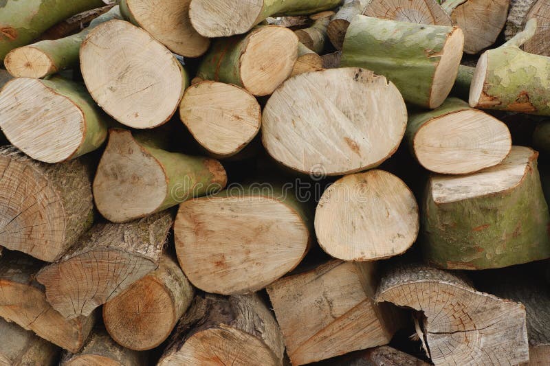 A Large Pile of Firewood is Organized for Easy Access Stock Image ...