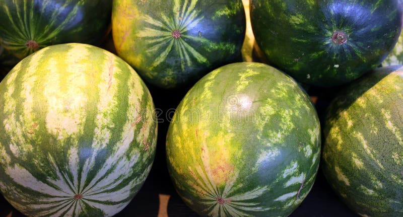 A Large Pile of Fresh Green Watermelons is on the Market. Stock Image ...