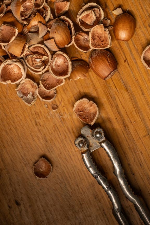 Large Pile of Hazelnuts with Nut Cracker.. Stock Image - Image of seed ...
