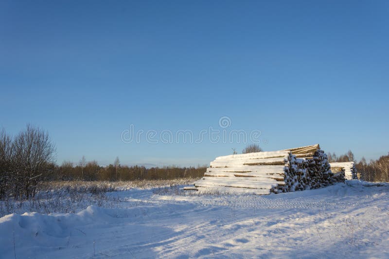 A Large Pile of Logs Covered with Snow at the Edge of the Road Stock ...