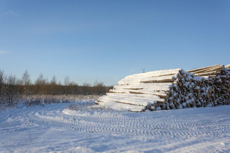 A Large Pile of Logs Covered with Snow at the Edge of the Road Stock ...
