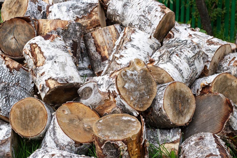 A Large Pile of Logs that Have White Spots Scattered Across Them Stock ...