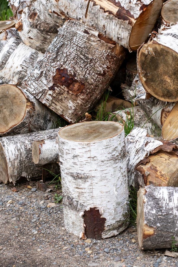 A Large Pile of Logs that Have White Spots Scattered Across Them Stock ...