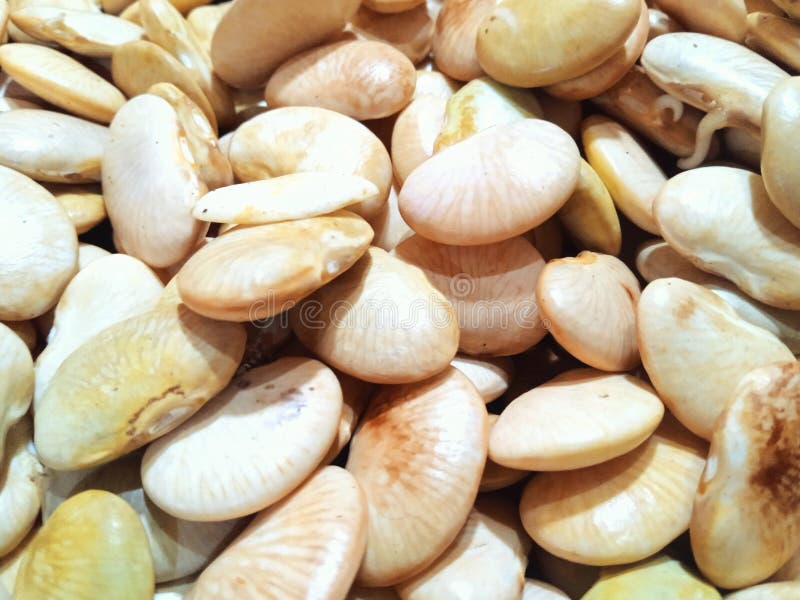 Large Pile of Nuts for Snacks or Mixed Cooking Ingredients Stock Image ...