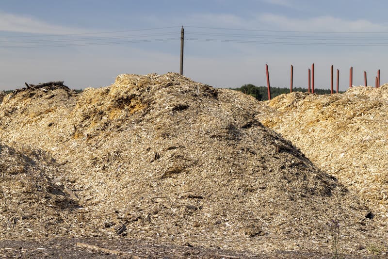 A Large Pile of Sawdust from Wood after Wood Processing Stock Photo ...