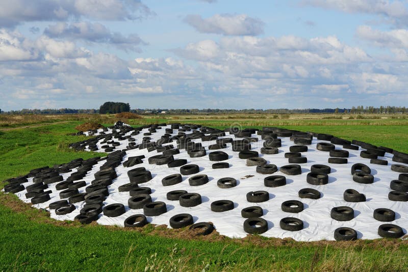 Large Pile of Silage on Field Covered with Plastic Film and Used Tires ...