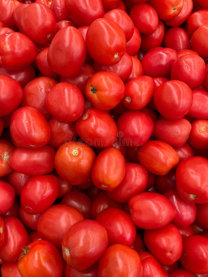 Large Pile of Small Red Tomatoes Stock Image - Image of closeup, large ...