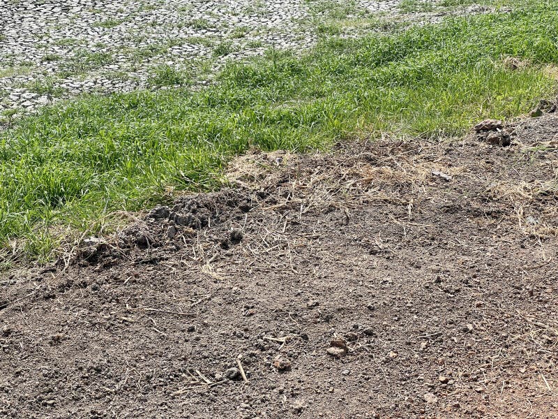 A Large Pile of Soil and Grass Stock Image - Image of outdoor, natural ...