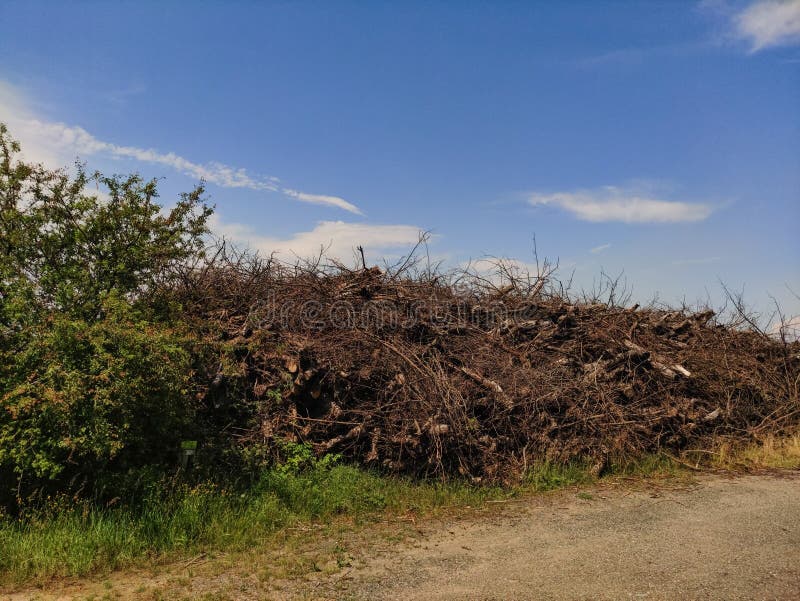 A Large Pile of Tree Branches Sits on the Side of a Dirt Road, with a ...