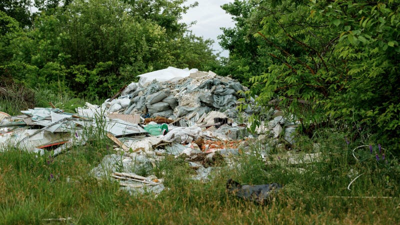 A Large Pile of Various Debris Lies on Th Green Trees. Stock Image ...