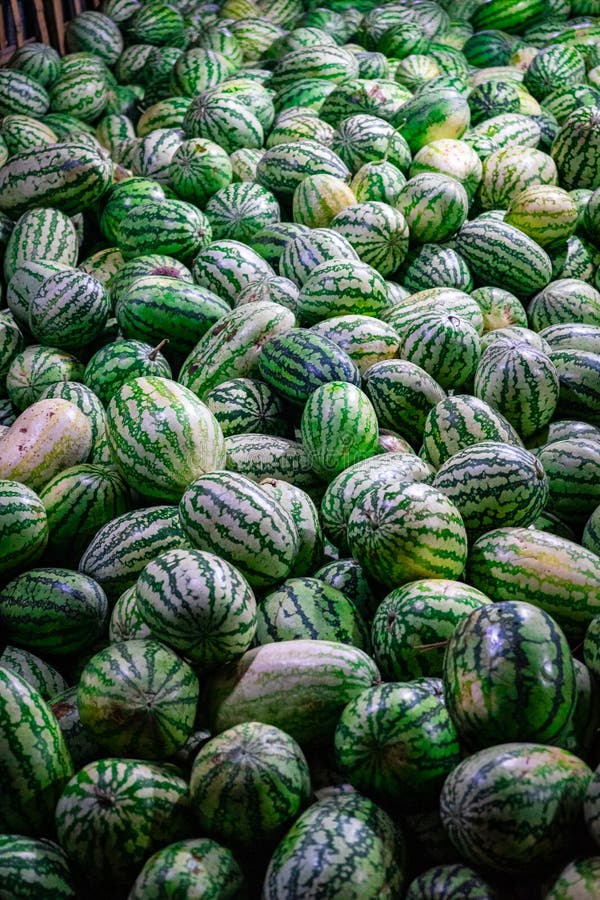 Large Pile of Watermelon Fruits Stock Photo - Image of fruit, vertical ...