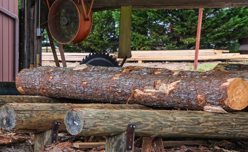 Pine Log in Sawmill stock image. Image of lumber, pile - 160825941