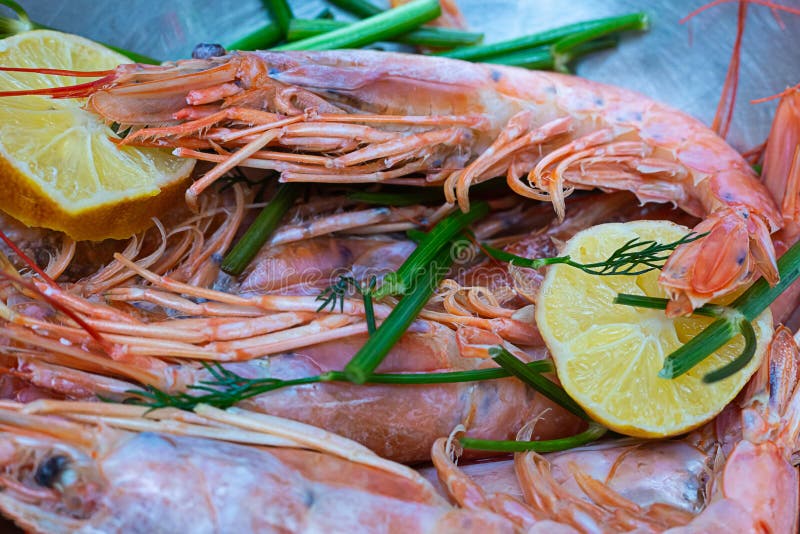 Large Pink Prawns with a Slice of Lemon and Dill Closeup Stock Image ...