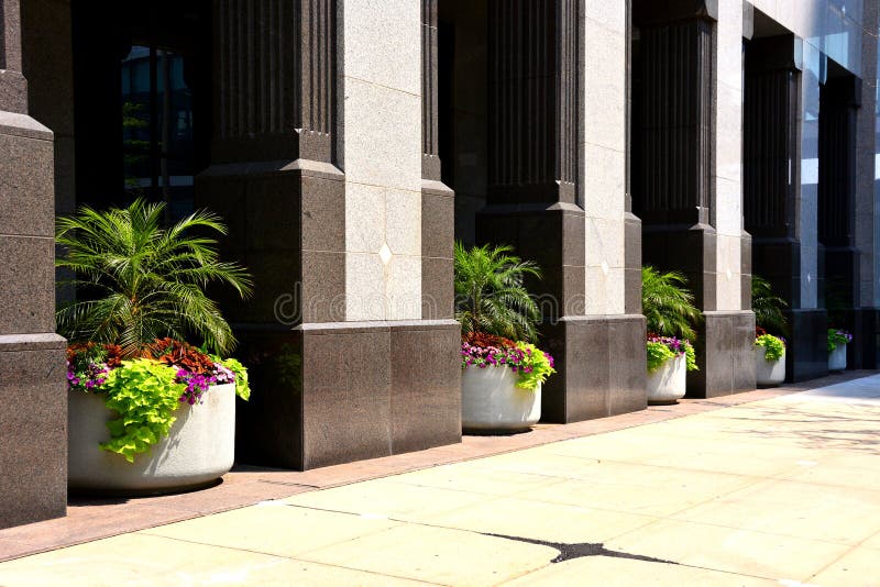 Large Planter Along Columns on Summer Day Stock Image - Image of light ...