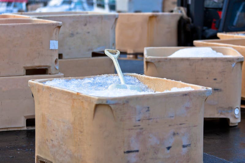 Large Plastic Fishing Containers with Ice in Harbor Stock Photo - Image ...