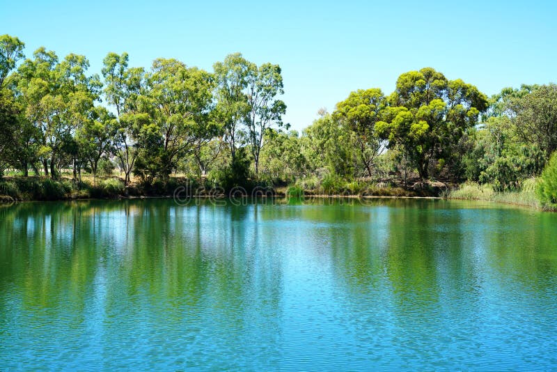 Large Pond in Natural Australian Bush Setting. Stock Image - Image of ...