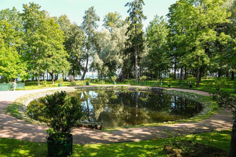 A Large Pond in a Park with Trees Surrounding it Stock Photo - Image of ...