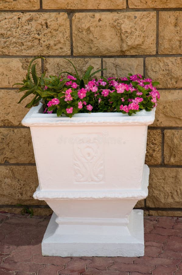 Large Pot with Pink Flowers. Stock Image - Image of europe, stairs ...