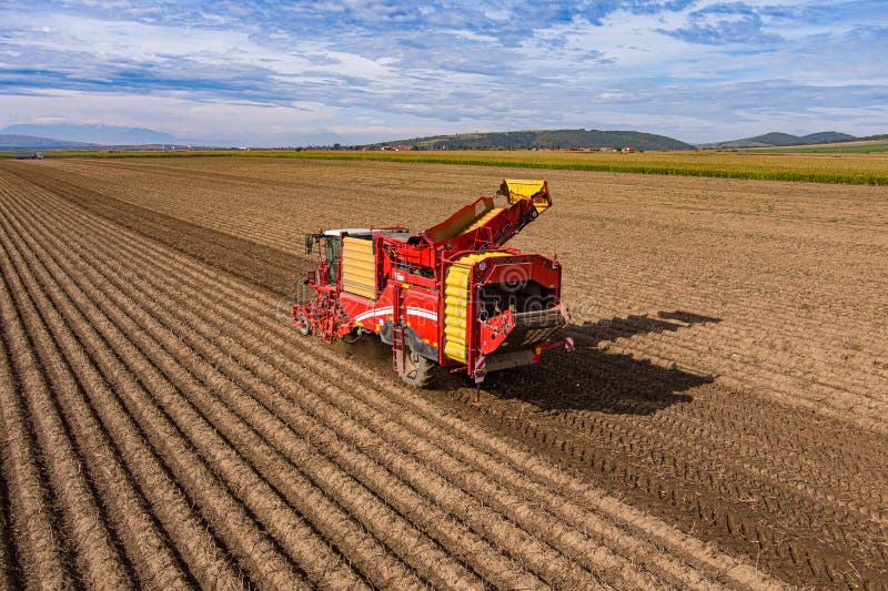 Large potato harvester stock photo. Image of field, grow - 283500110
