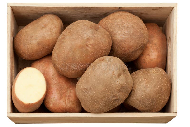 Large potatoes stock image. Image of nutrition, large - 45291537