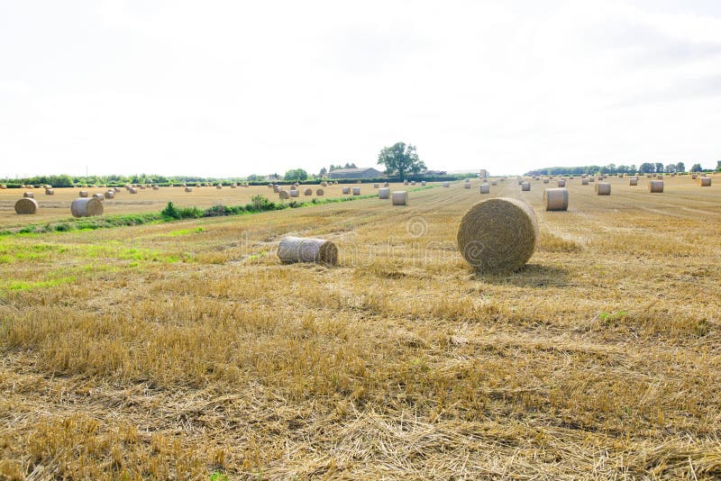Doncaster farm hay bales. stock photo. Image of prairie - 287722178 Doncaster farm hay bales. stock photo. Image of prairie - 287722178